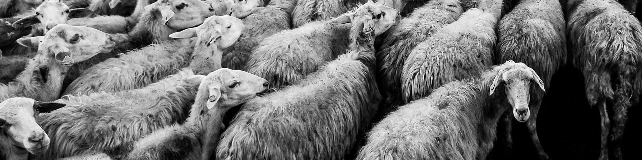 Compress Your Images Andy Croll